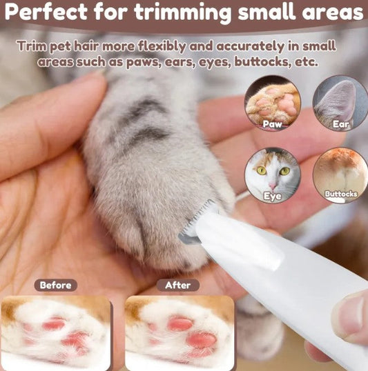 News – PawfectPupFinds